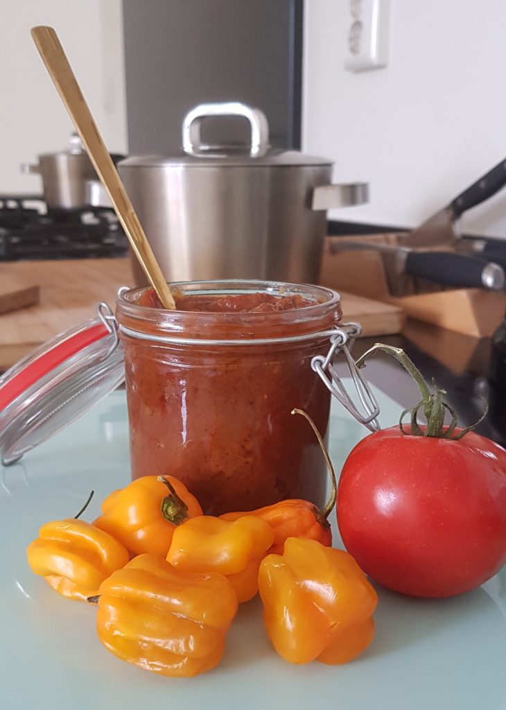 Javaanse Bami Sambal - Javaanse Recepten & Surinaamse Gerechten